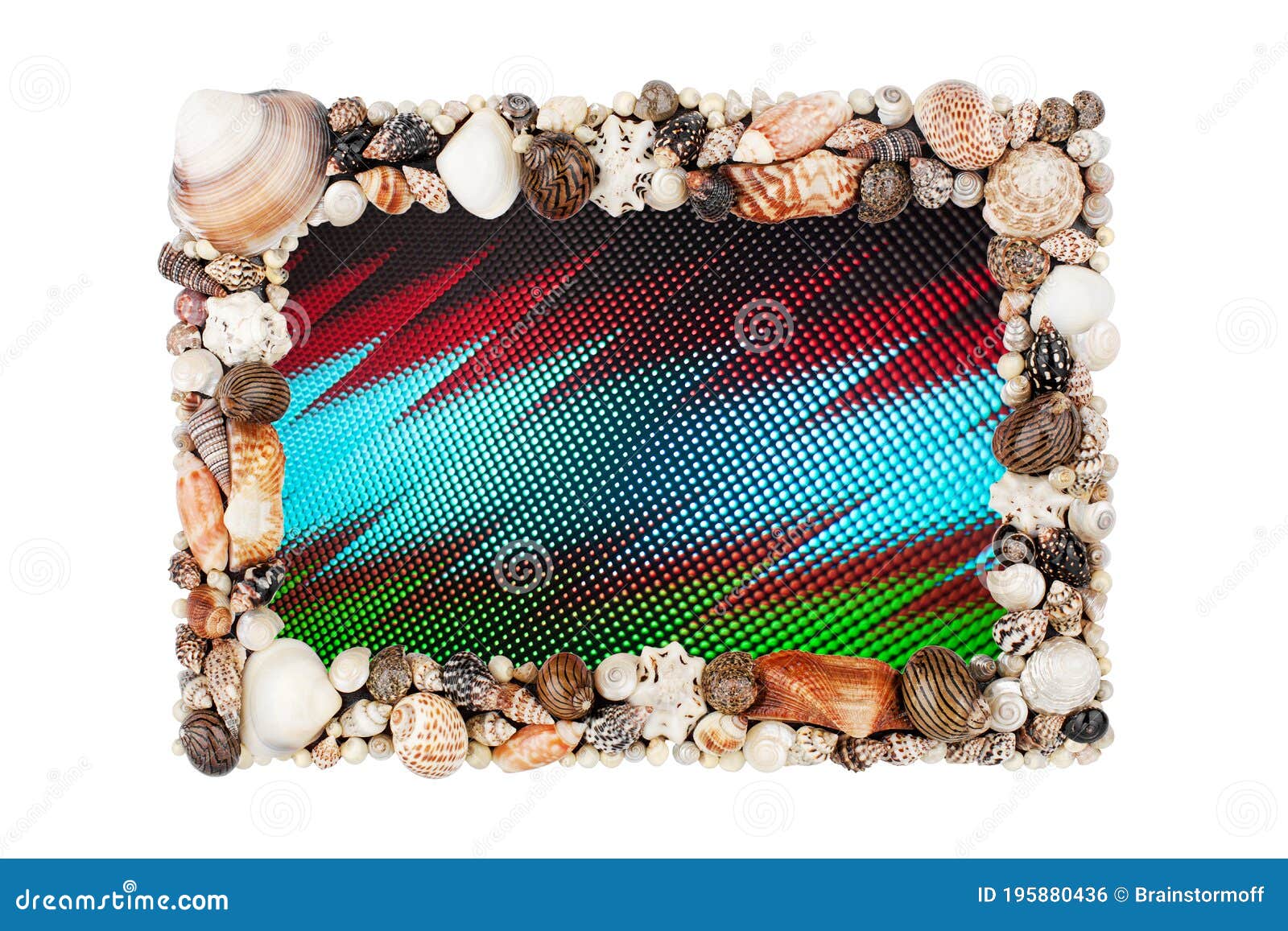 Abstract Seashells Digital Picture Frame Broken Screen White Background ...