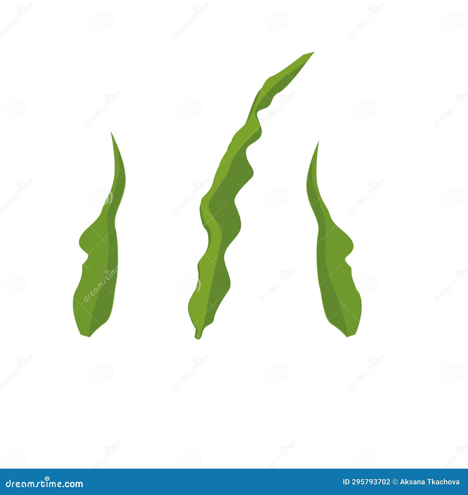 Abstract Seaweed Shape Aesthetic Element Vector Illustration Stock ...