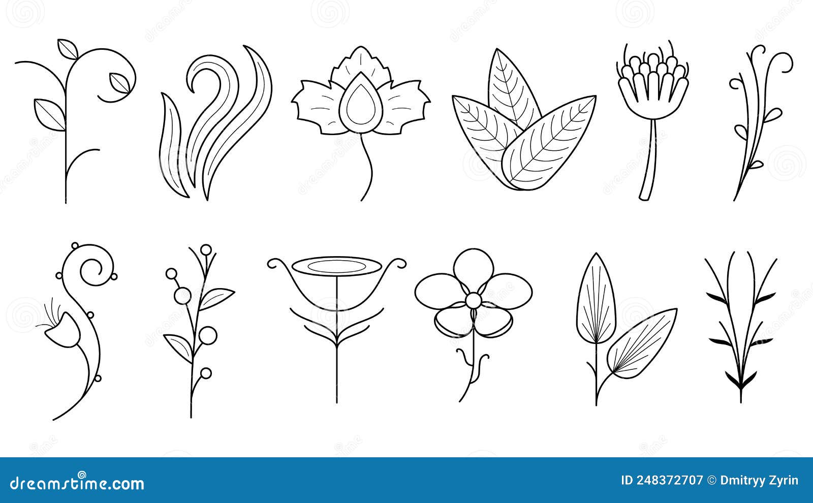 Abstract Set Doodle Elements Hand Drawn Collection Botanic Herbal Flora