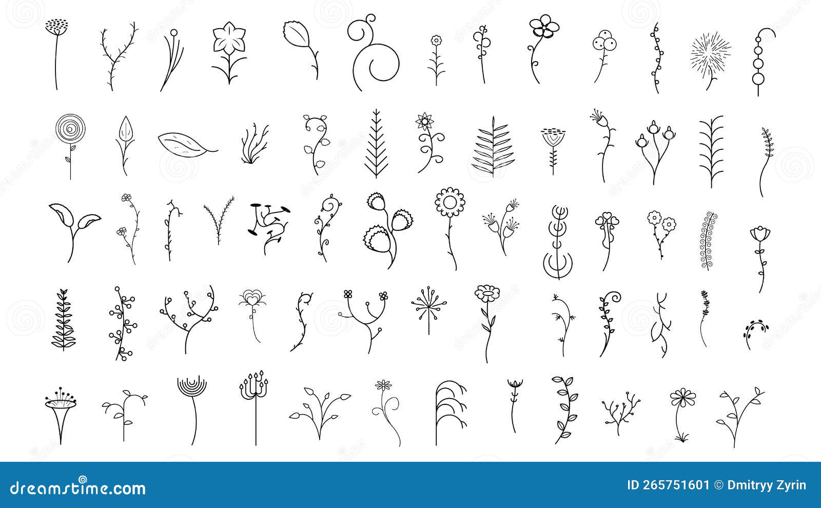 Abstract Set Doodle Elements Hand Drawn Collection Botanic Herbal Flora