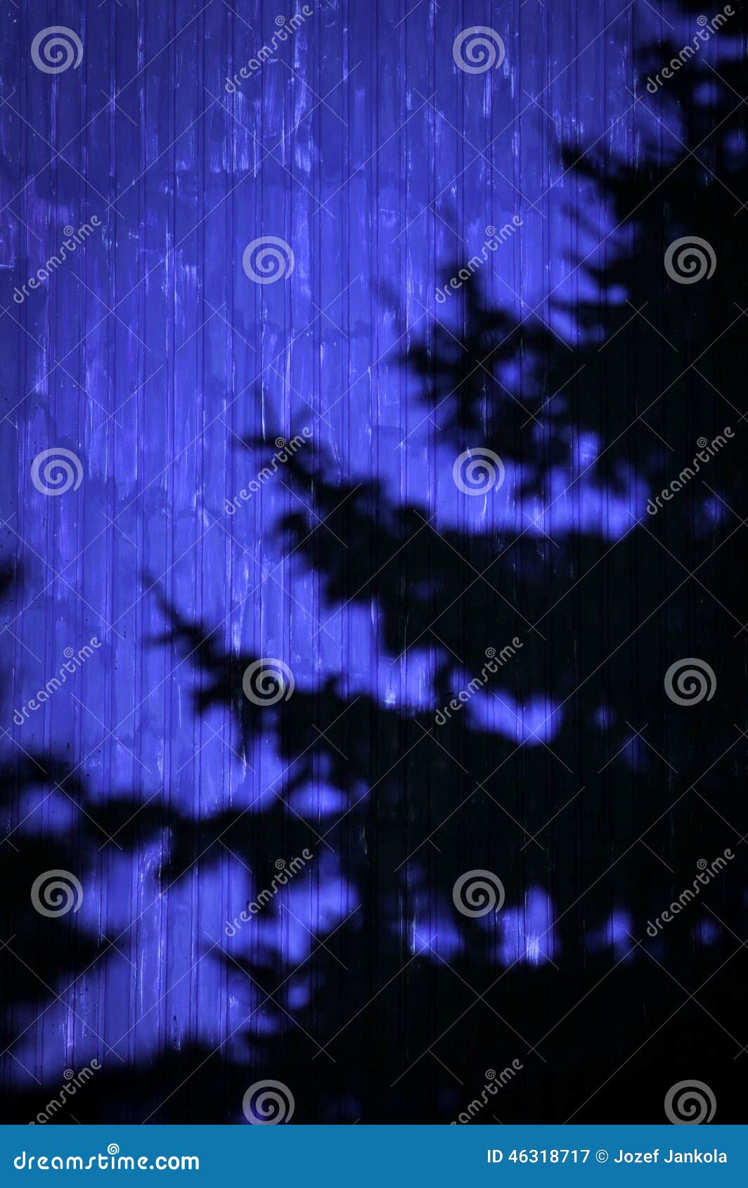 Abstract shade tree stock image. Image of texture, background - 46318717