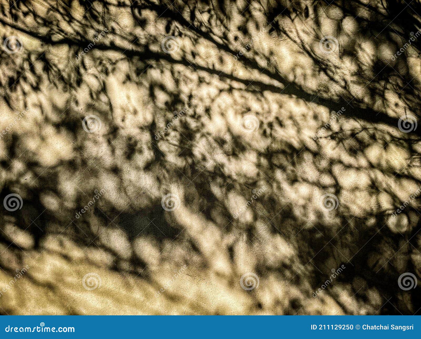 Abstract Shadow Background of Natural Stock Photo - Image of blurred ...