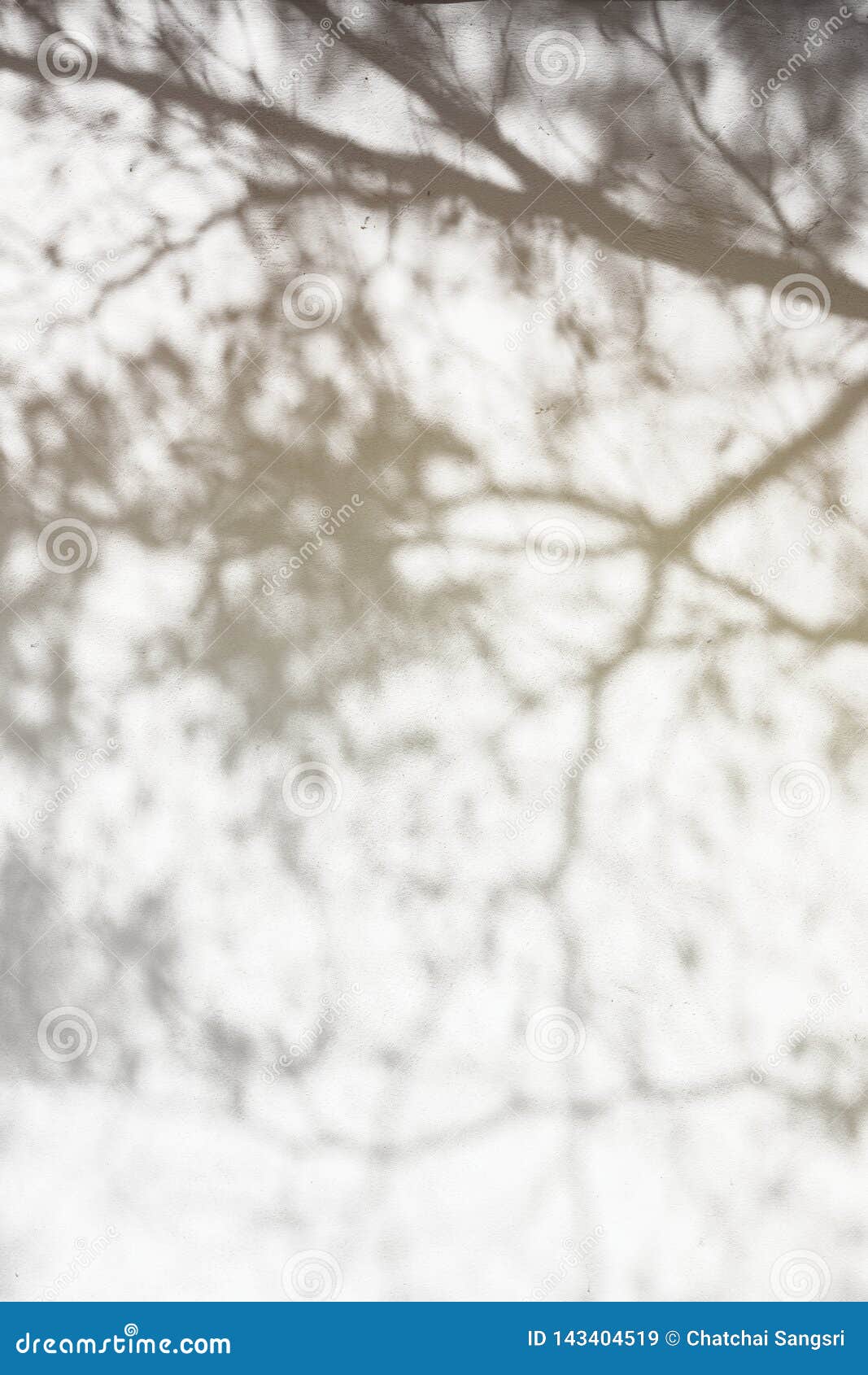 Abstract Shadow Background of Natural Leaves Tree Stock Image - Image ...