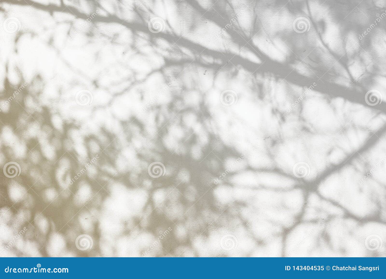 Abstract Shadow Background of Natural Leaves Tree Stock Image - Image ...