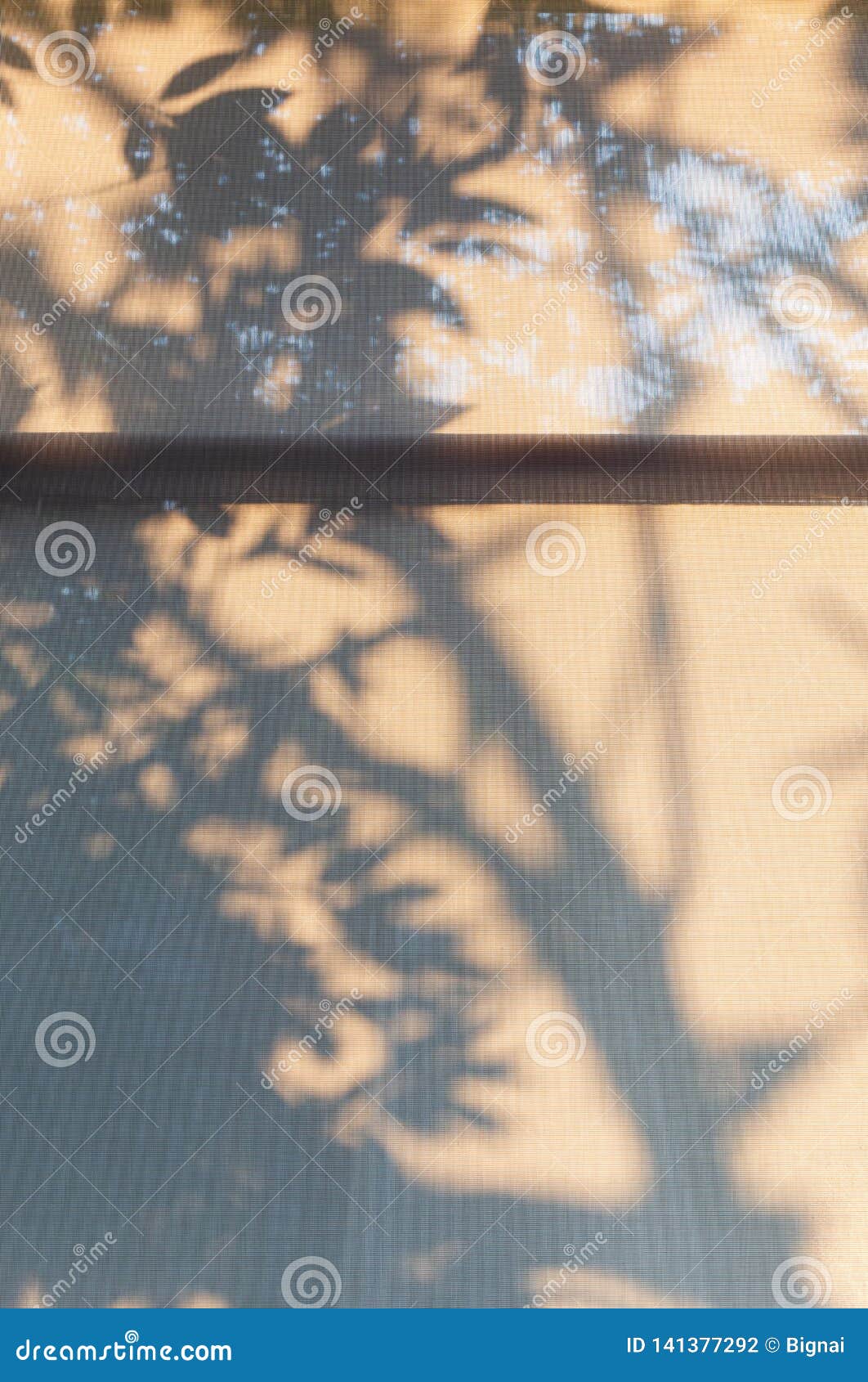 Abstract Shadow Background of Natural Leaves Tree Branch Falling on ...