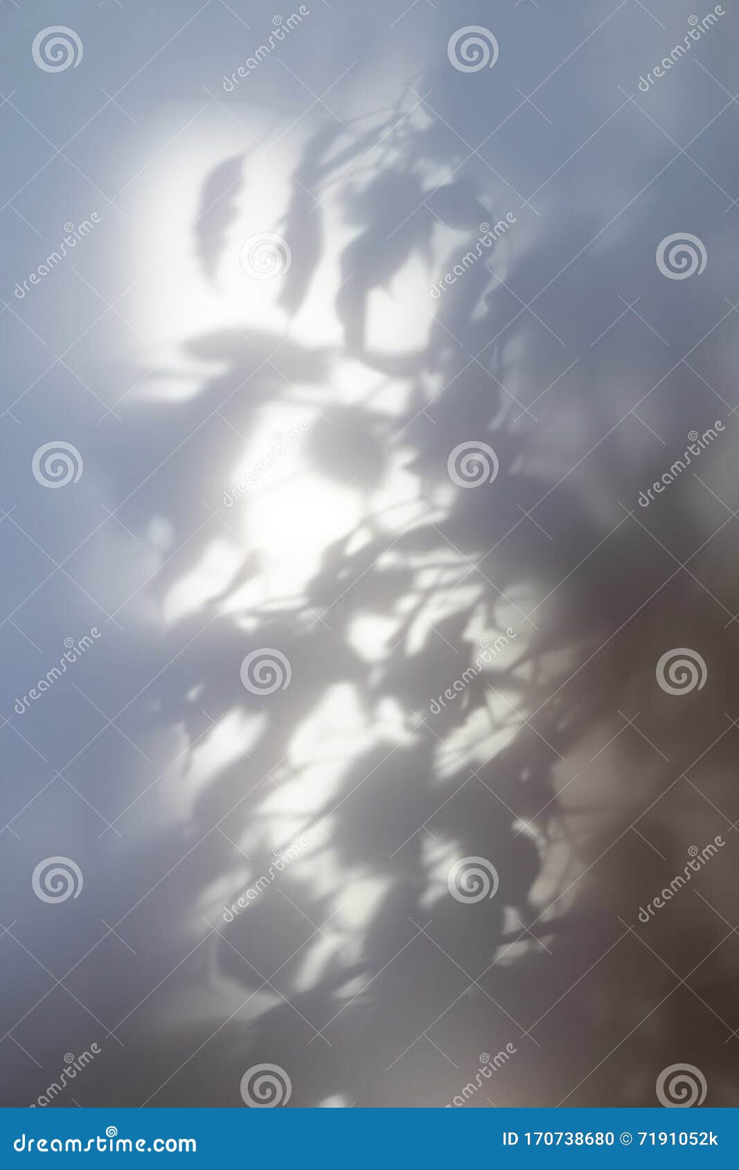 Abstract Shadow. Blurred Background. Reflection of Gray Leaves on a ...