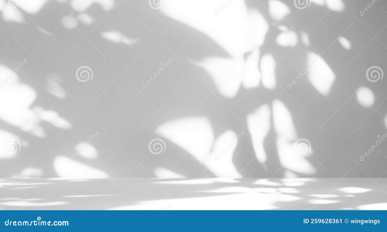 Abstract Shadow Leaves Gray Cement Room Stodio Background Stock Image ...