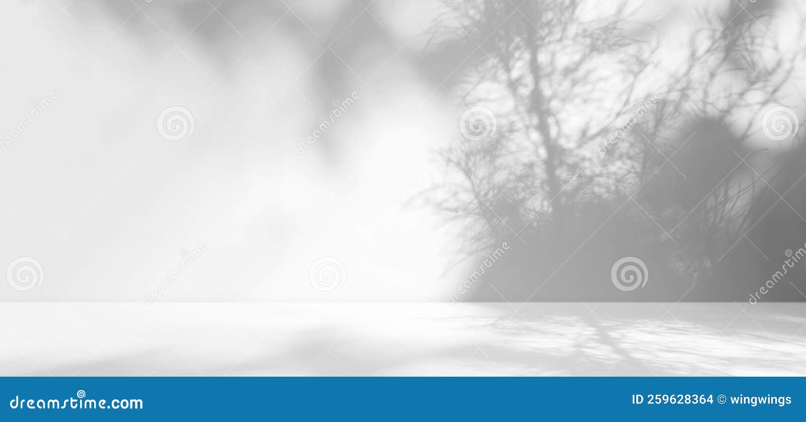 Abstract Shadow Leaves Gray Cement Room Stodio Background Stock Photo ...