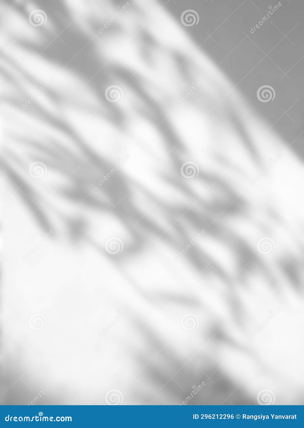 Abstract Shadow of Leaves on a White Wall Background Stock Photo ...
