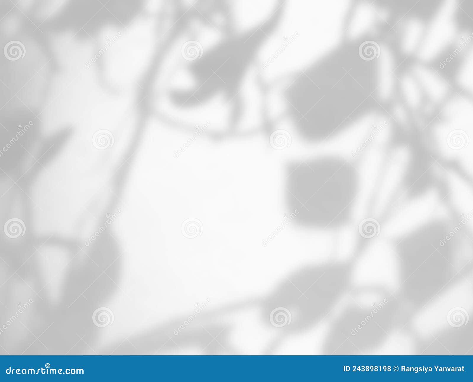Abstract Shadow of Leaves on a White Wall Stock Photo - Image of ...