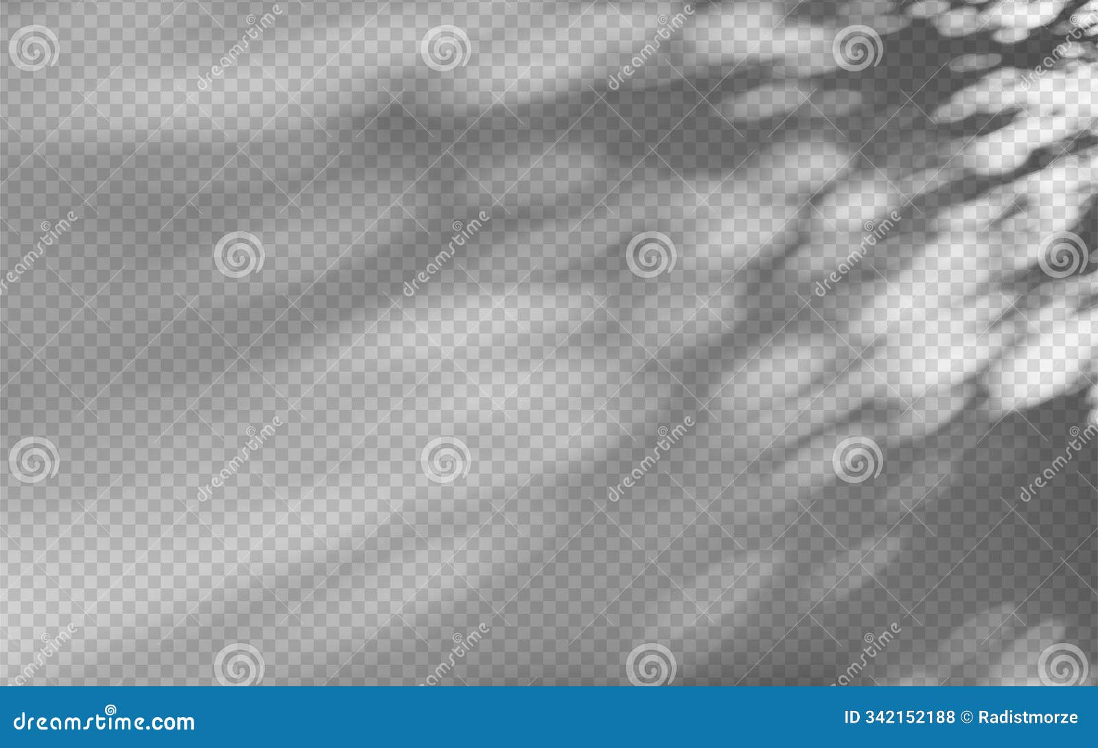 Abstract Shadow Overlay from Foliage on a Transparent Background. Stock ...