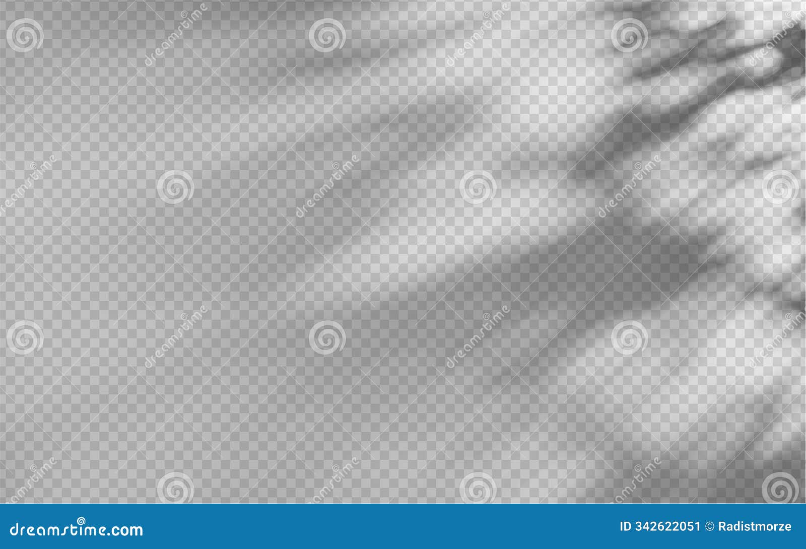 Abstract Shadow Overlay from Foliage on a Transparent Background. Stock ...