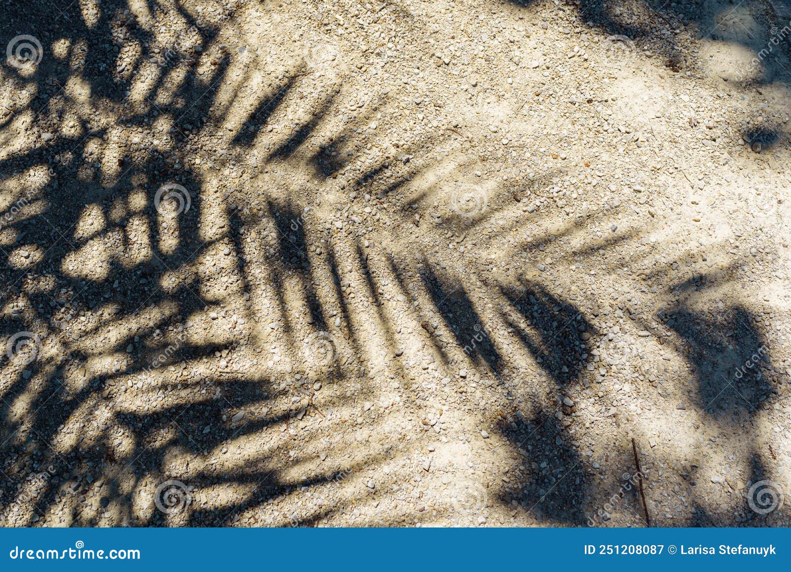 Summer Abstract Pattern of Shadow and Light on Beach Coast Stock Image ...