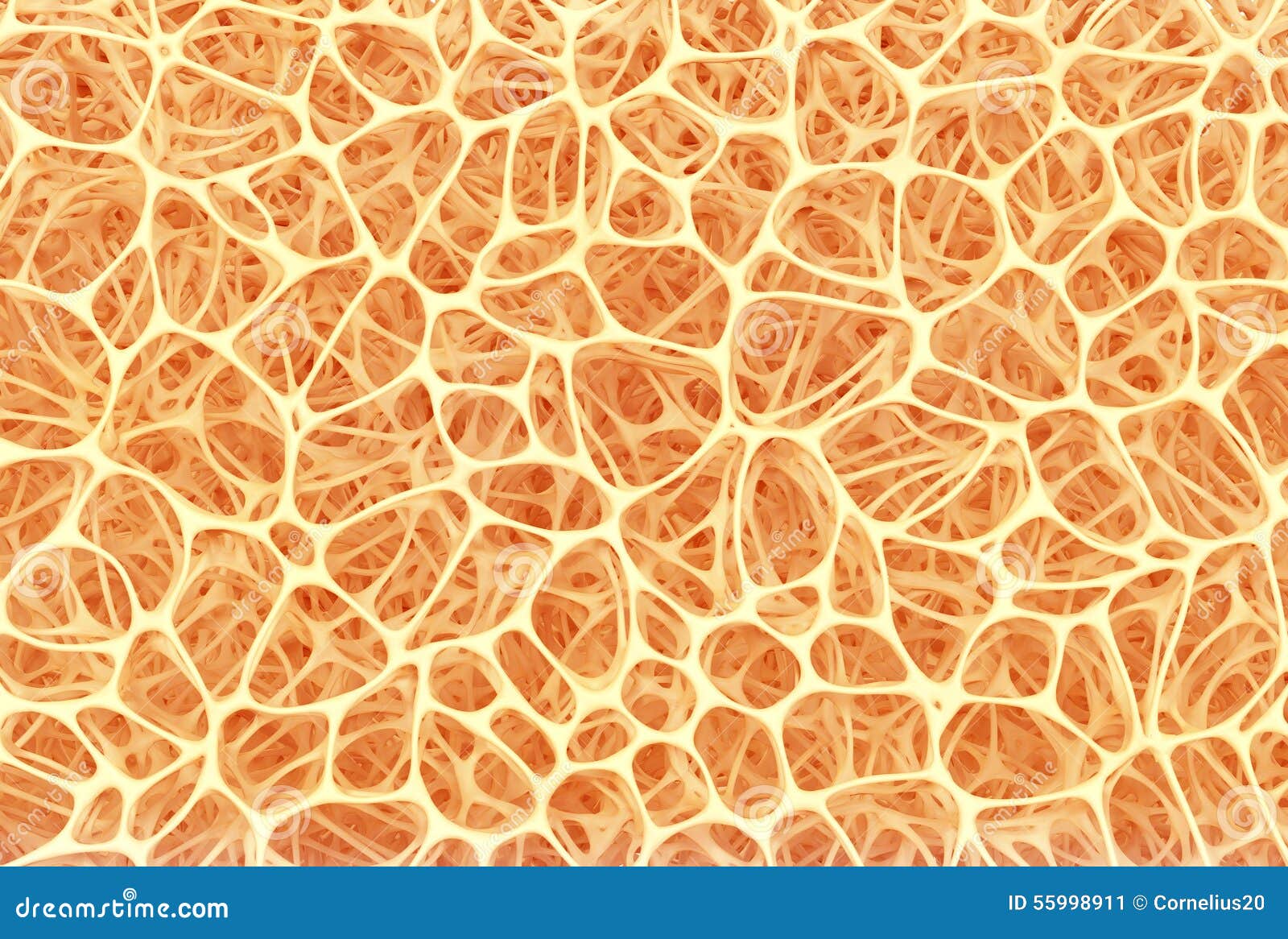 Abstract Shapes, Bone Structure Stock Illustration - Illustration of ...