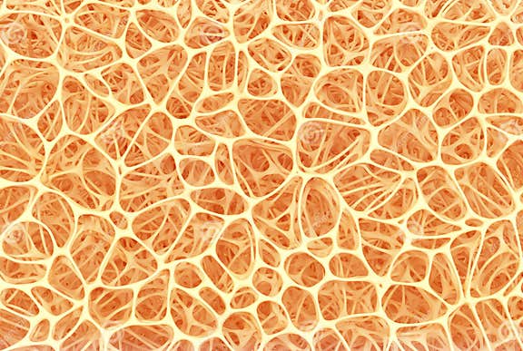 Abstract Shapes, Bone Structure Stock Illustration - Illustration of ...