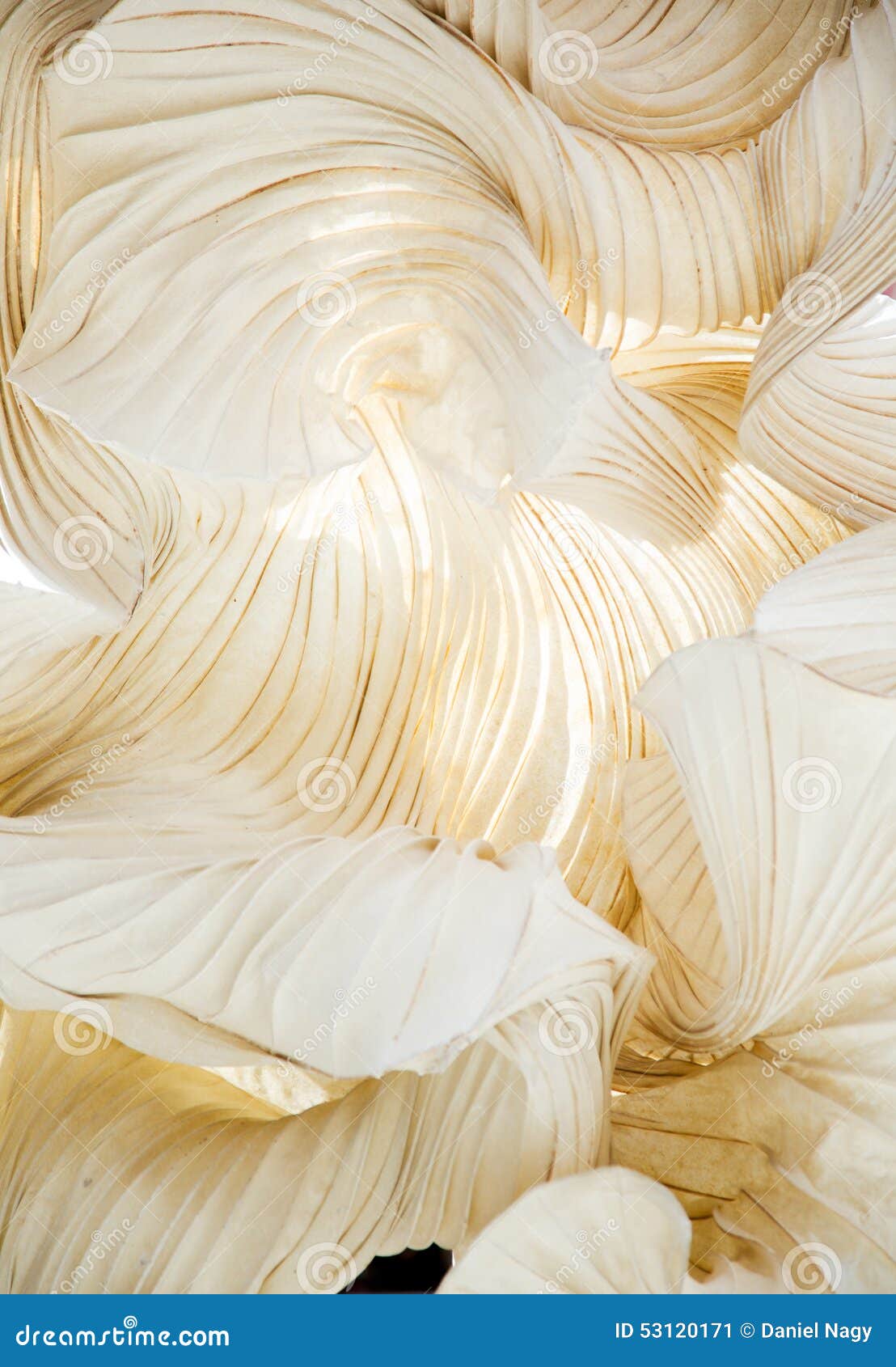 Abstract Shapes of a Paper Ornamental Object, Like a Sculpture Stock ...