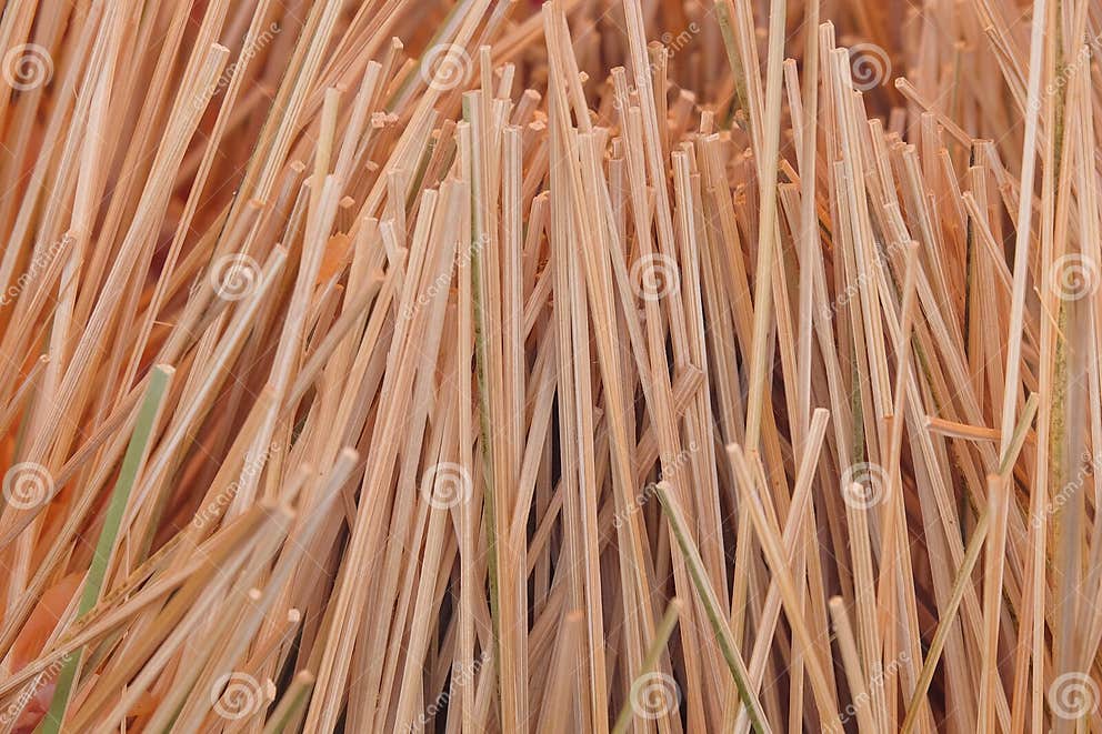 Abstract Shapes, Patterns and Textures of Bamboo Skewer Sticks Stock ...