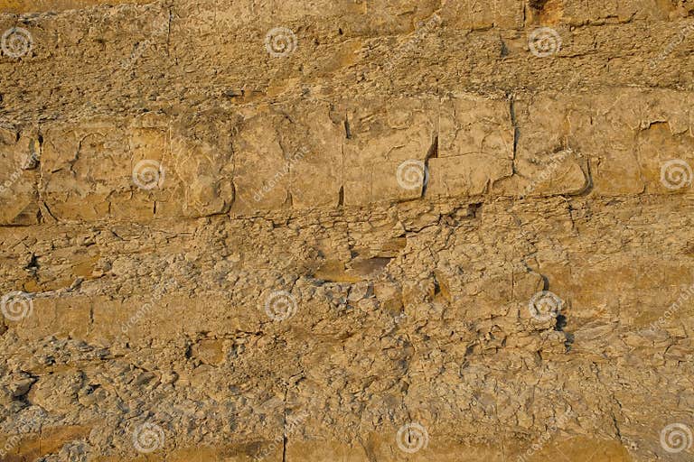 The Abstract Shapes, Patterns and Textures of the Limestone Surface ...