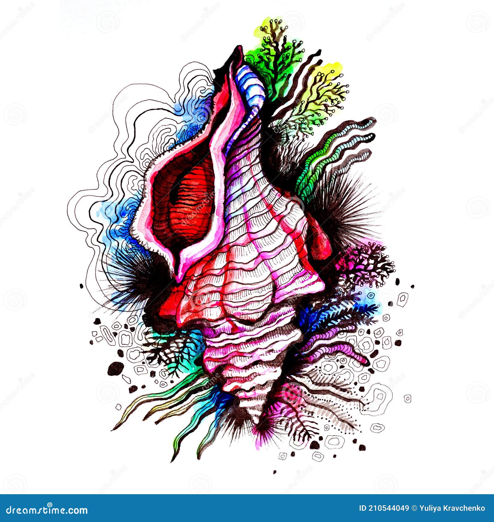 Abstract Shell with Corralls and Watercolor Algae Stock Illustration ...