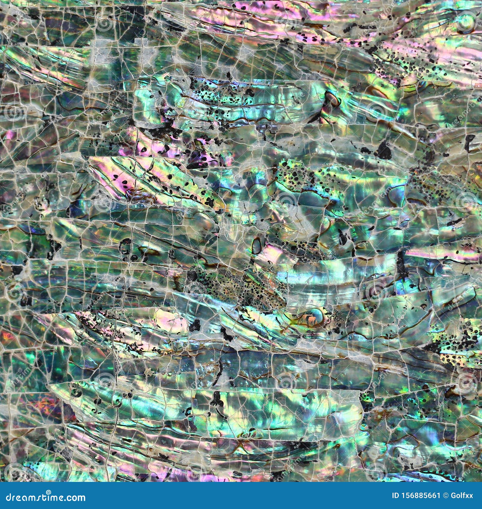 Abstract Shell Fragments Tiles Texture Stock Image - Image of fragment ...