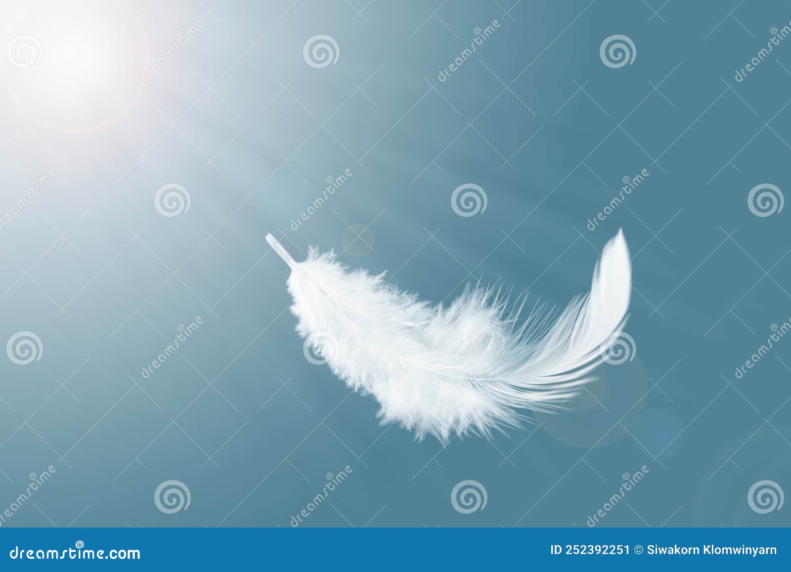 Abstract a Single White Bird Feather Floating in the Sky. Flying Swan ...