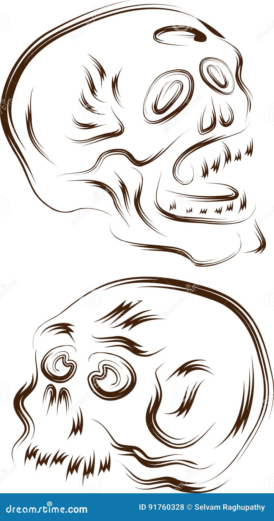 Abstract skull stock vector. Illustration of anatomical - 91760328