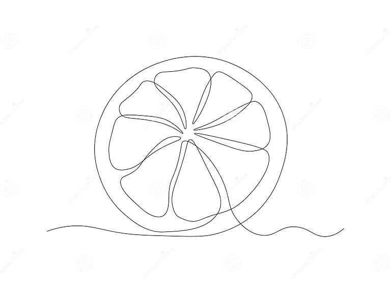 Abstract Slice of Lemon,orange, Lime, Continuous One Line Art Drawing ...