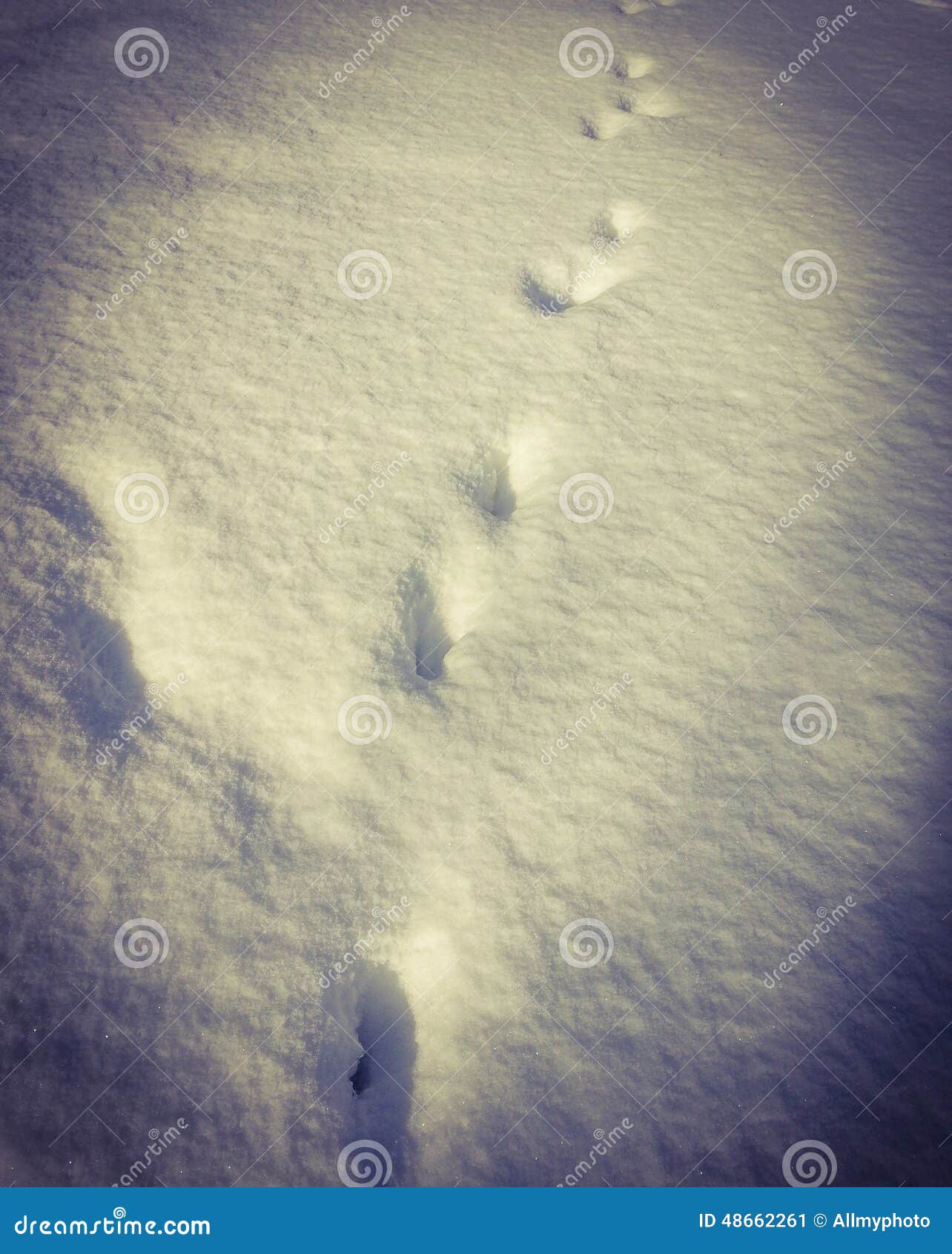 Abstract snow traces editorial photo. Image of europe - 48662261