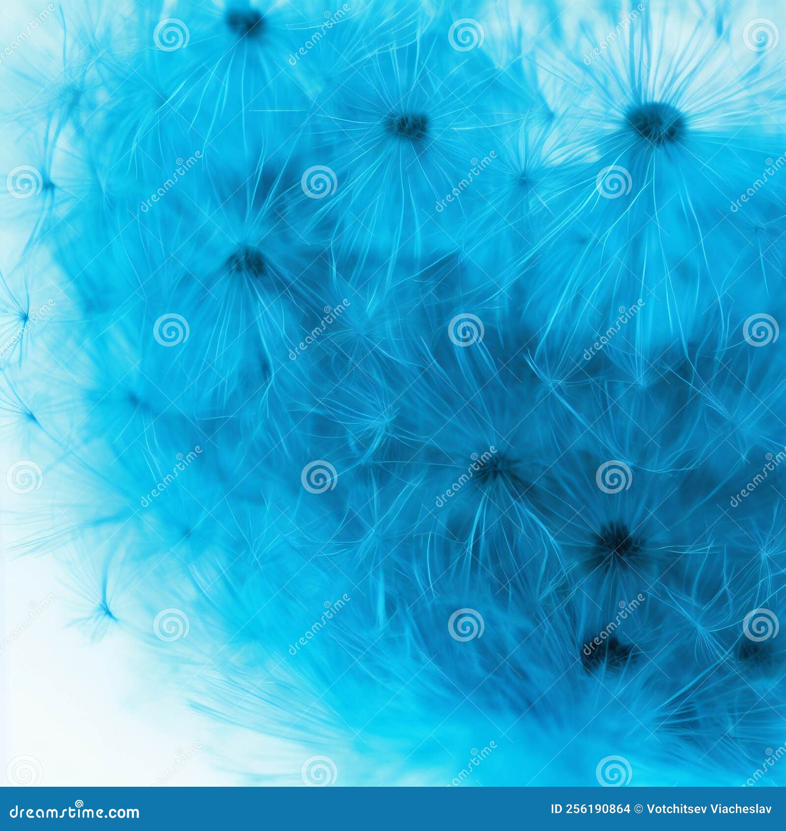 Abstract Soft Background - Blue Dandelion Stock Illustration ...