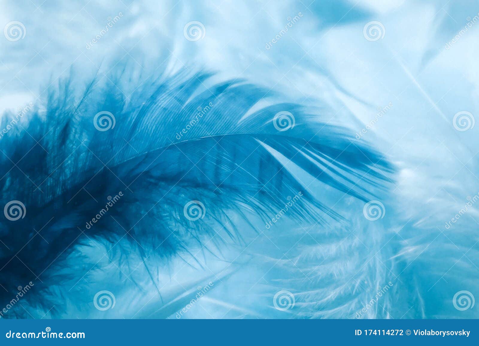 Abstract Soft Blue Feather Background. Closeup of Light and Dark Blue ...