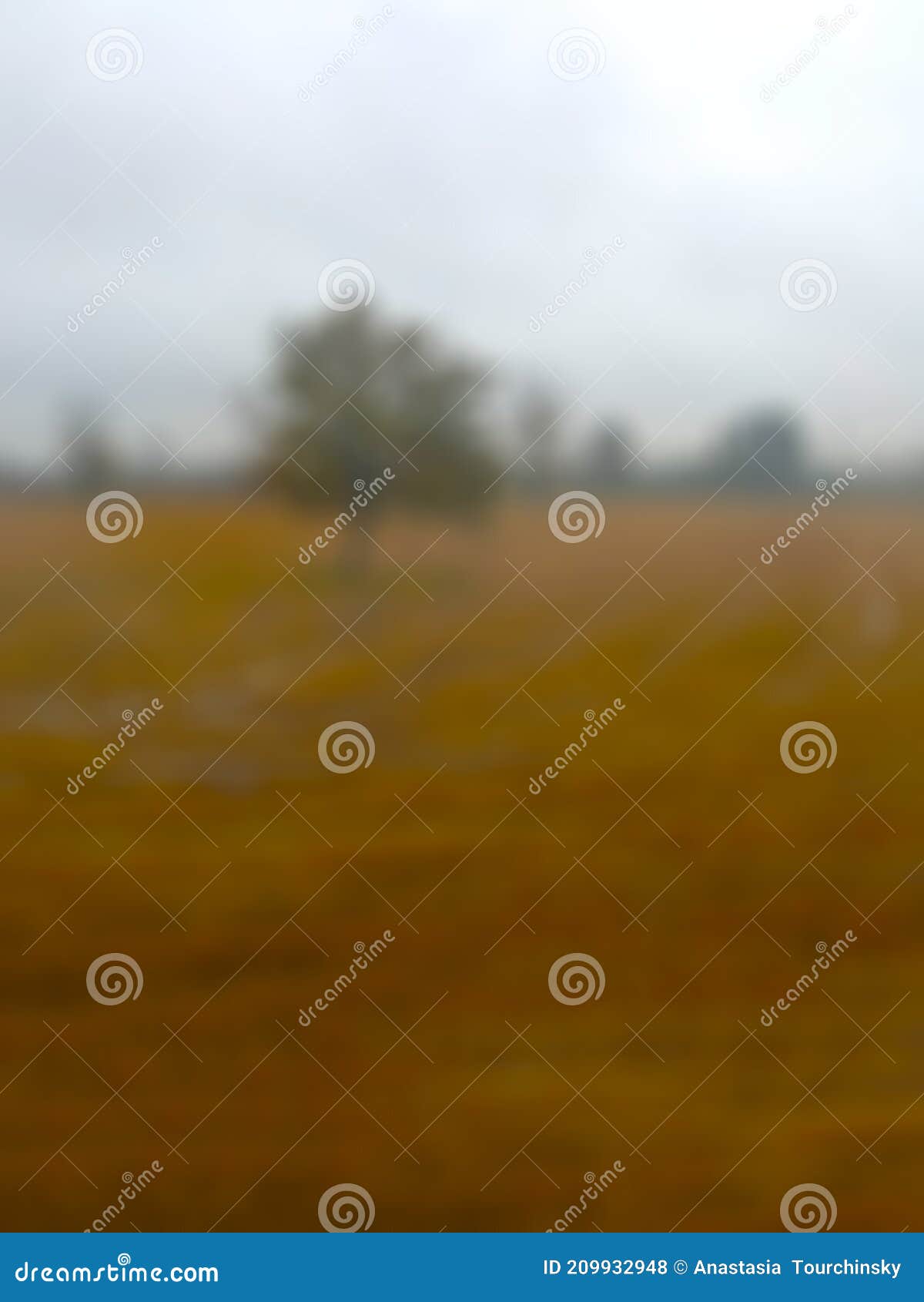 Abstract Soft Blurred Blur Unfocused Background Stock Photo - Image of ...