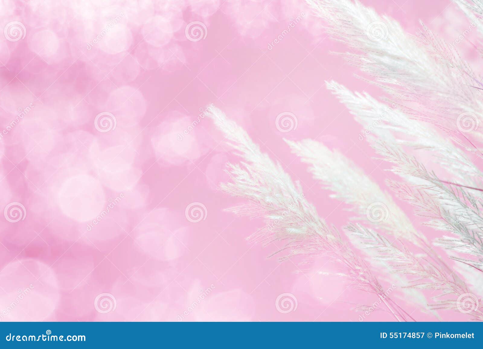 Abstract Soft Focus of Pink Lighting Softness Feather Grass Background ...