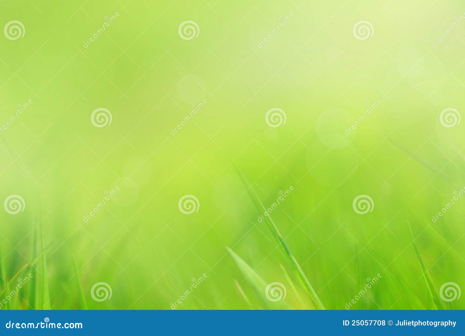 Abstract, Soft Grass Background Stock Photo - Image of blurry, clean ...