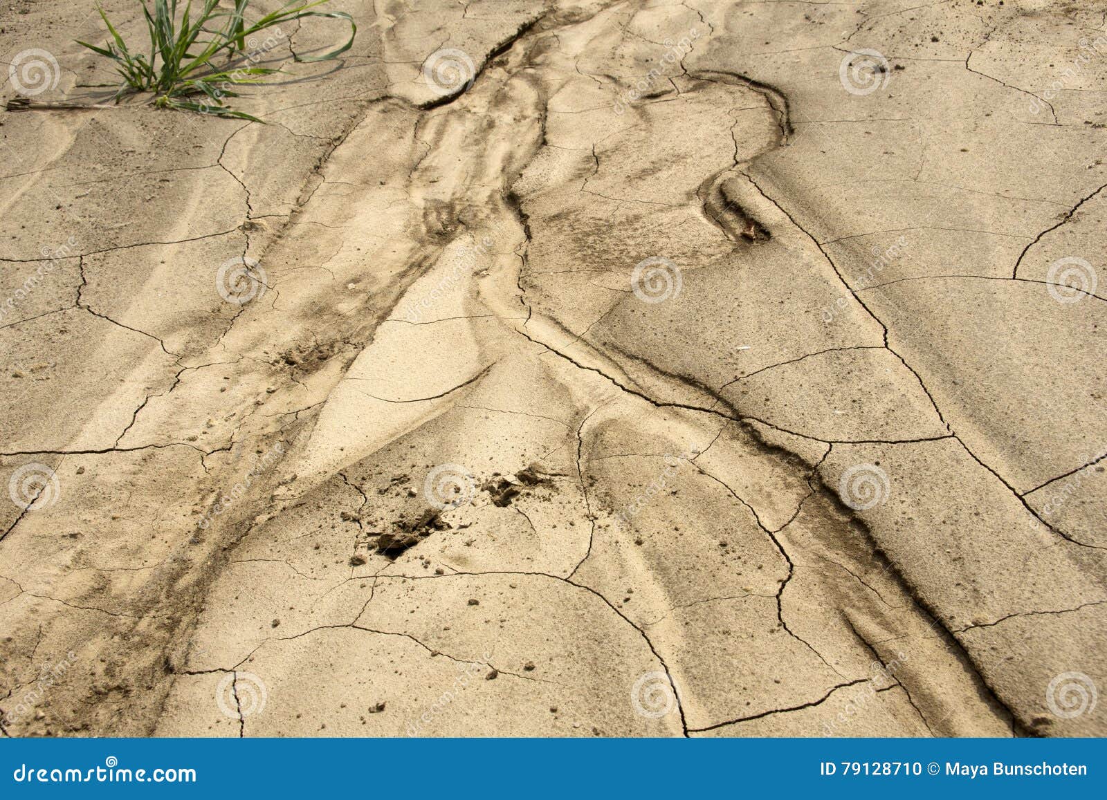 Abstract soil stock photo. Image of country, dirty, earth - 79128710