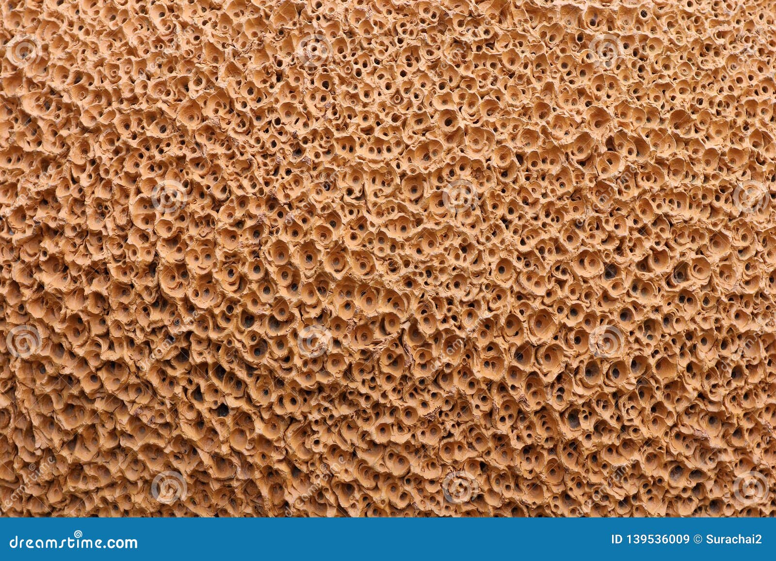 Abstract Soil Wall Texture for Background Stock Image - Image of earth ...