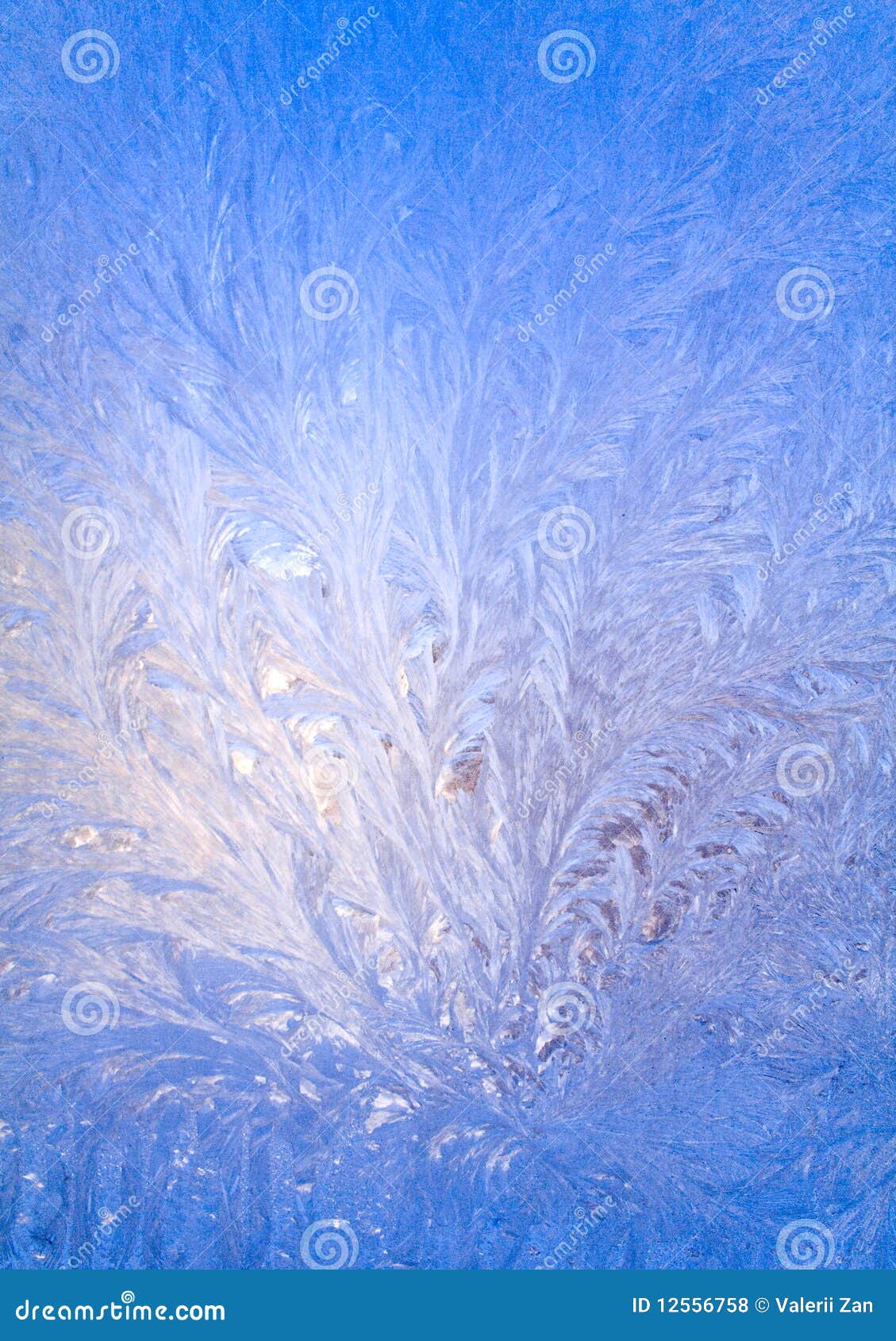 Abstract Sparkling Patterns on a Frost Stock Photo - Image of glitter ...