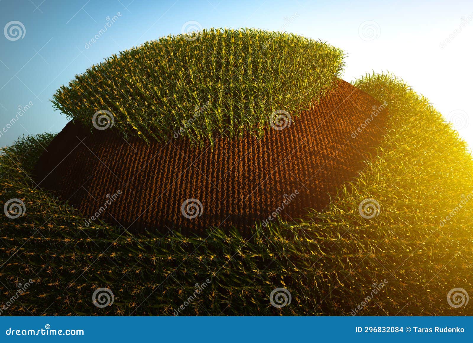 Abstract Spherical Corn Field on a Blue Background Stock Photo - Image ...