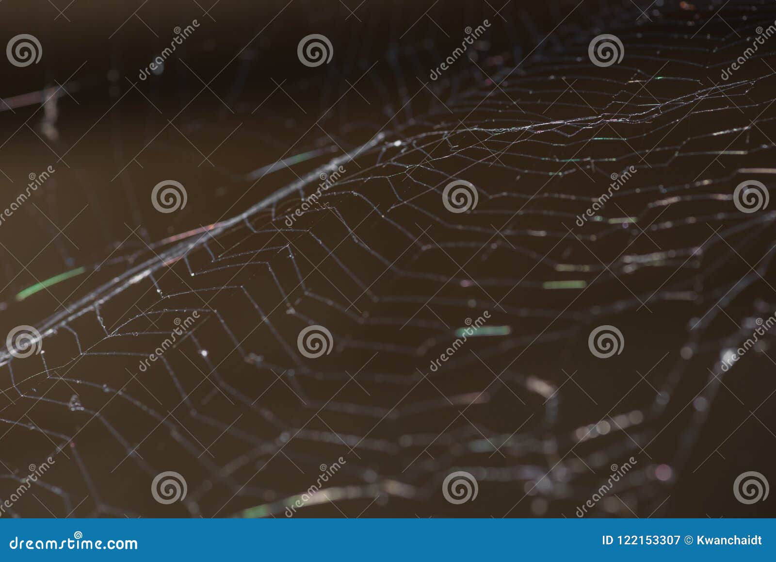 Abstract Spider Web on Black for Background Stock Image - Image of ...