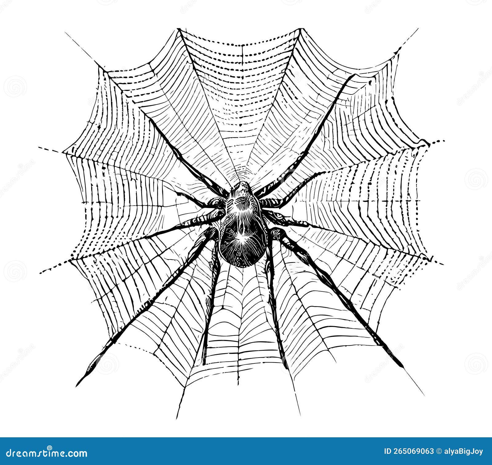 Abstract Spider on Web Hand Drawn Sketch Illustration Stock Vector ...