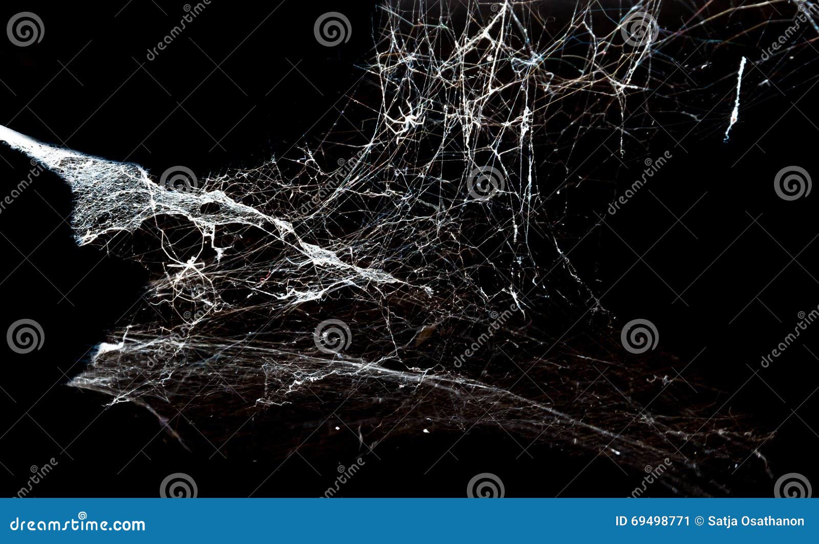 Abstract Spiderweb on Black Background Stock Image - Image of spider ...