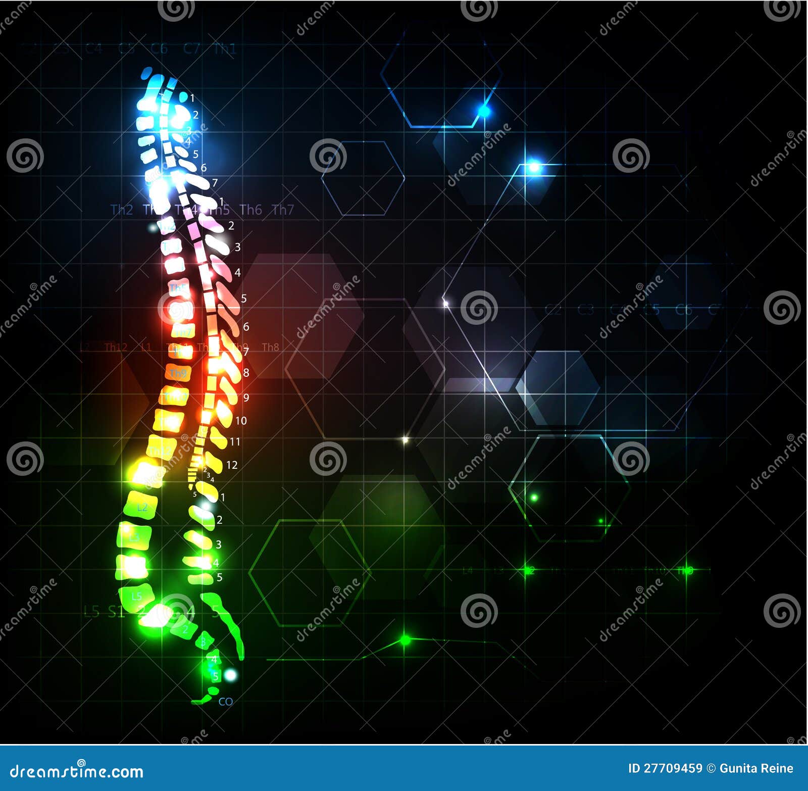 Abstract spine stock vector. Illustration of background - 27709459