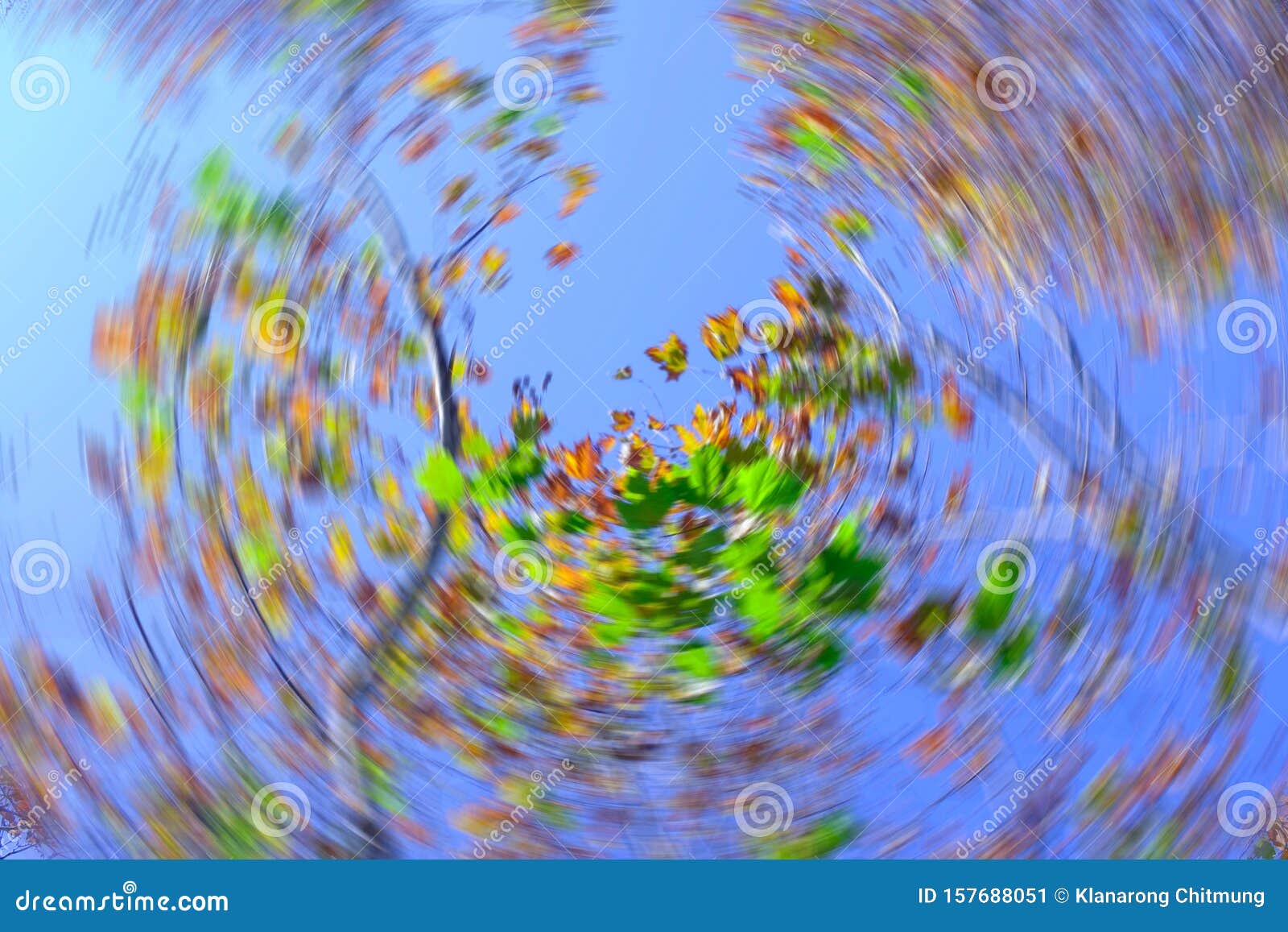 Abstract Spinning Looking Up View To Autumn Leaf I Stock Image - Image ...