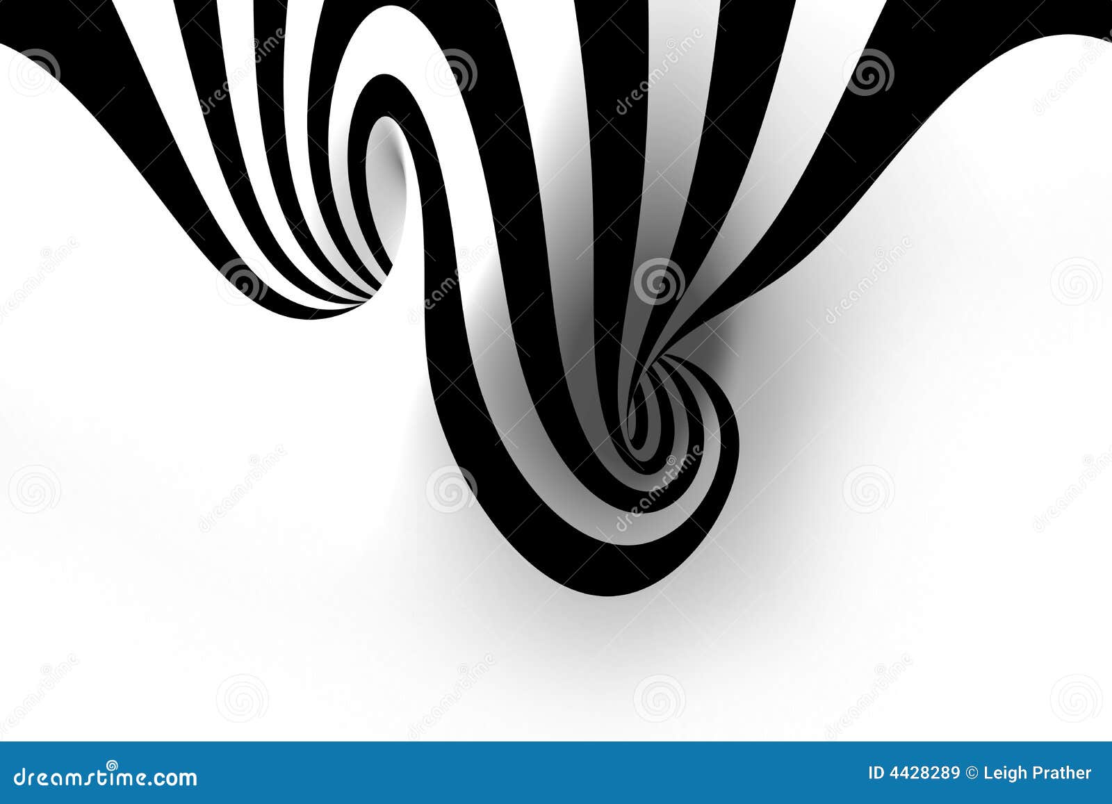 Abstract Spiral Of Black Lines On White Background. Animation. Swirling ...