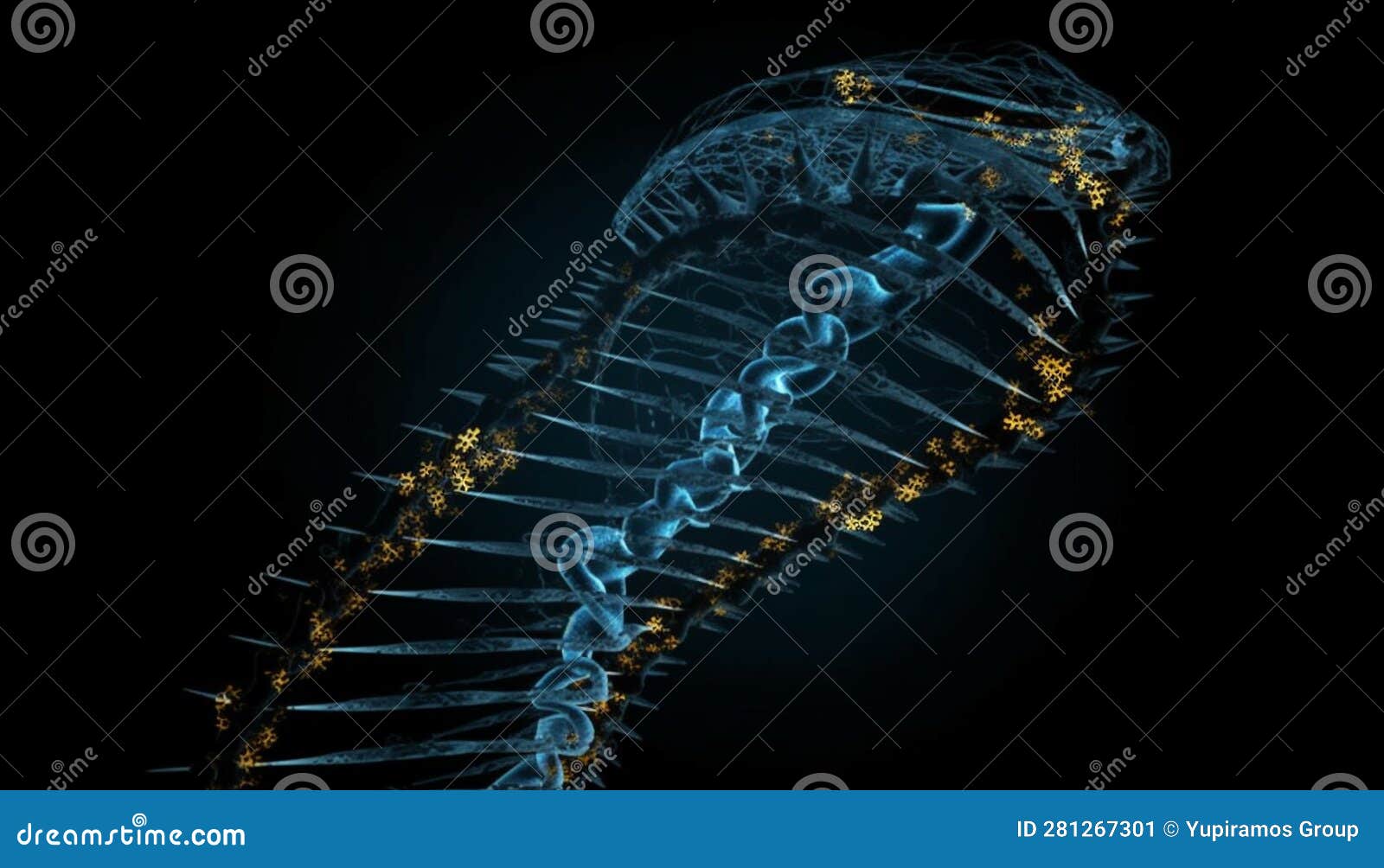 Abstract Spiral Design of Glowing Fish Spine in Dark Water Stock ...