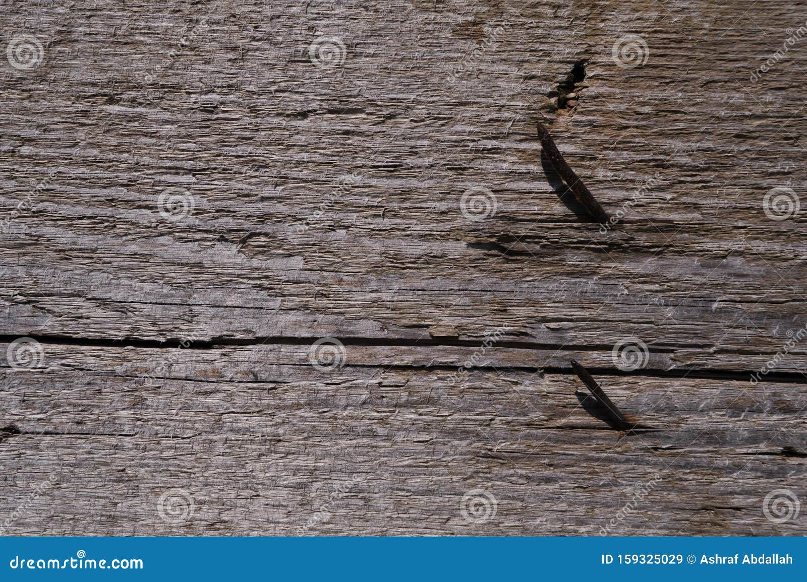Abstract Split Wood Textures Surface Background Closeup Stock Image ...