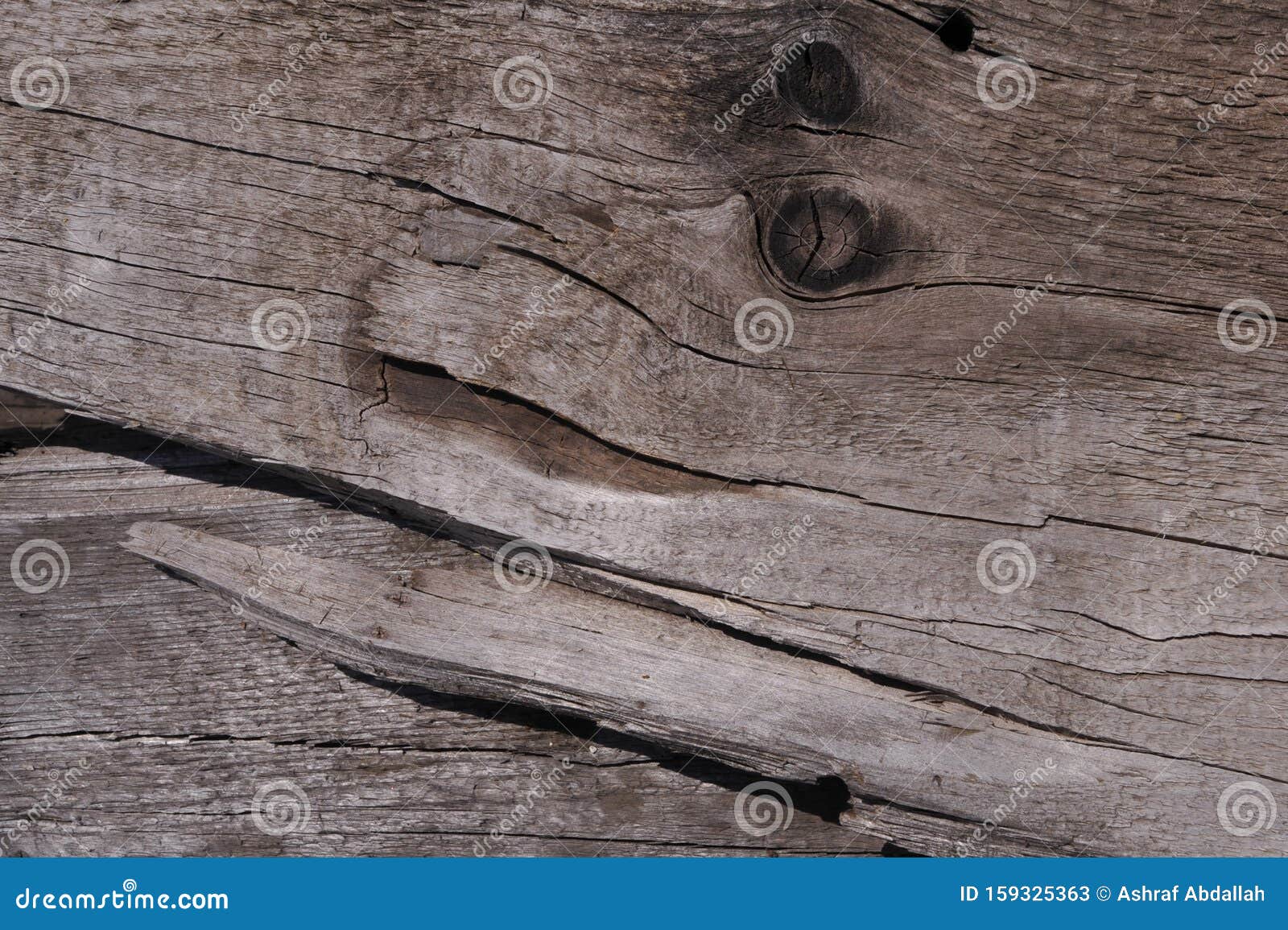Abstract Split Wood Textures Surface Background Closeup Stock Image ...
