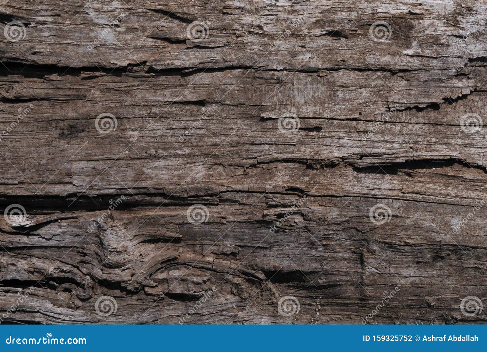Abstract Split Wood Textures Surface Background Closeup Stock Photo ...