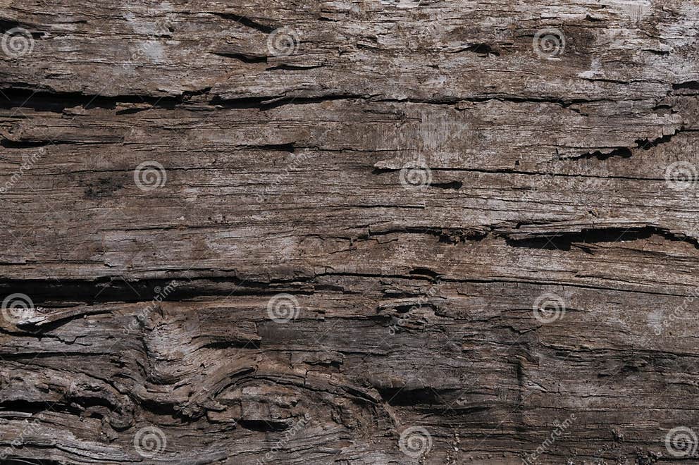 Abstract Split Wood Textures Surface Background Closeup Stock Photo ...