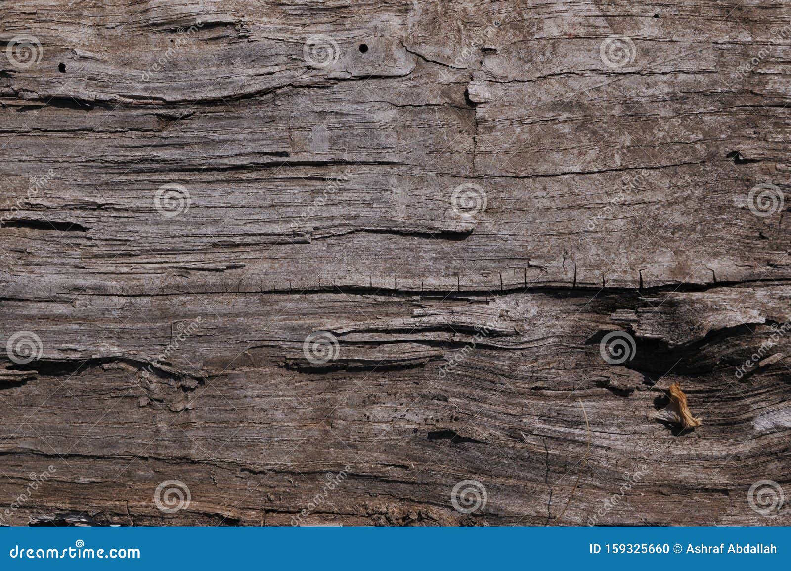 Abstract Split Wood Textures Surface Background Closeup Stock Photo ...