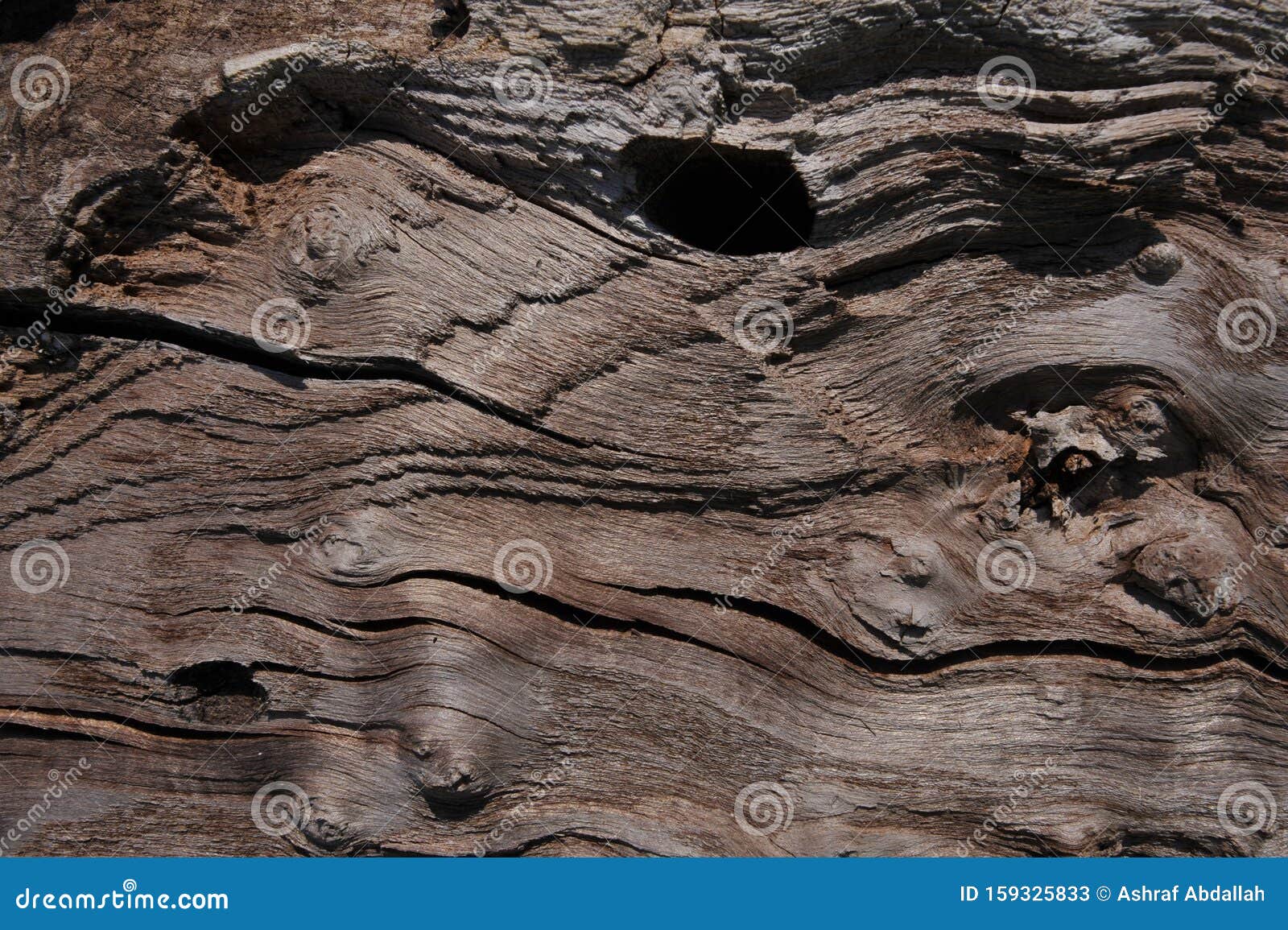 Abstract Split Wood Textures Surface Background Closeup Stock Image ...